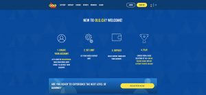 OLG PlaySmart | Online Lottery in Ontario | Buy Lottery Ticket Online ...